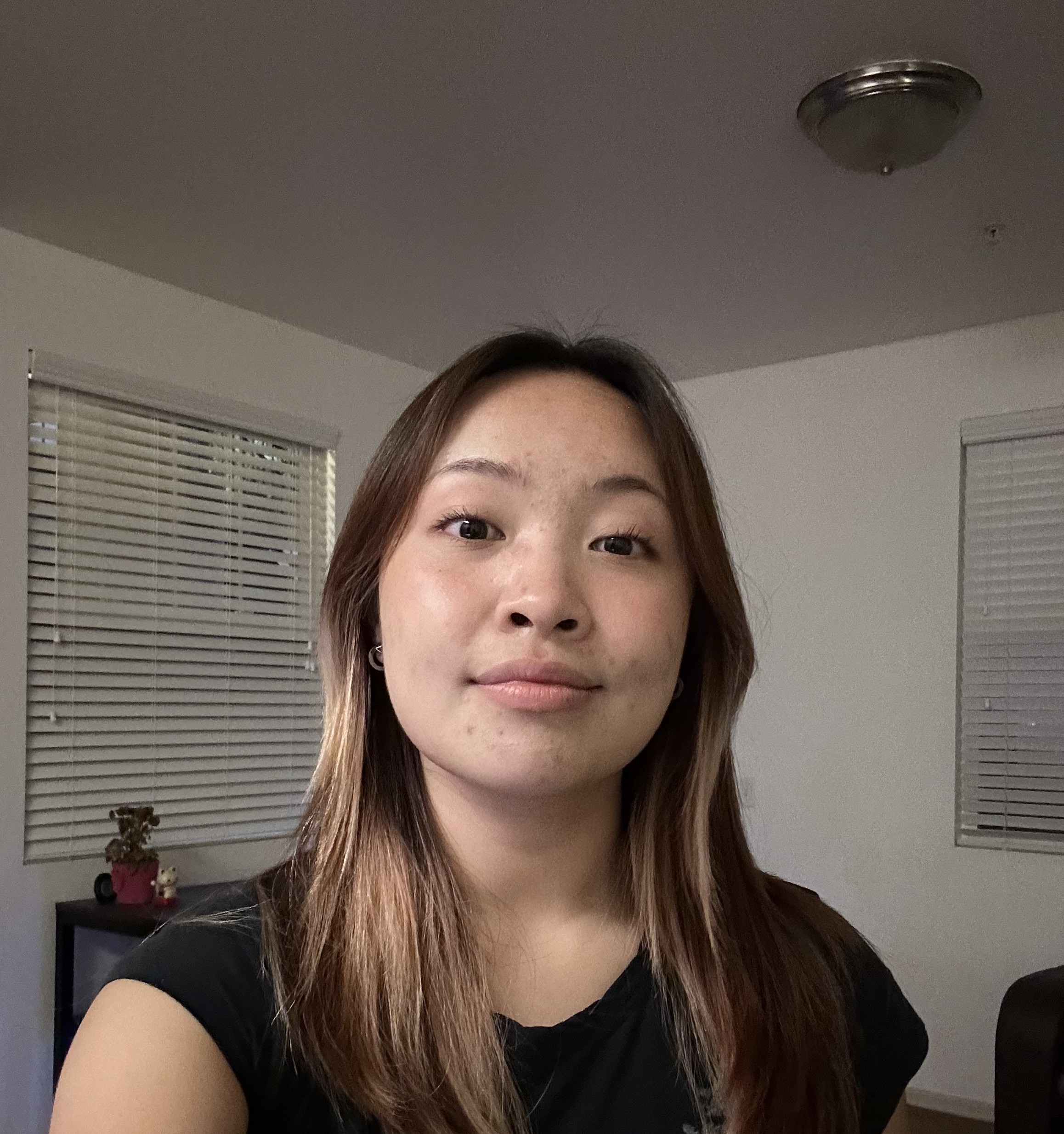 Anteater Electric Racing